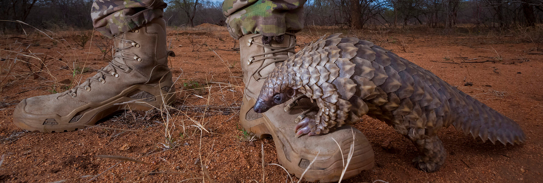 Shooting for Survival By Neil Aldridge — SEVENSEAS Media