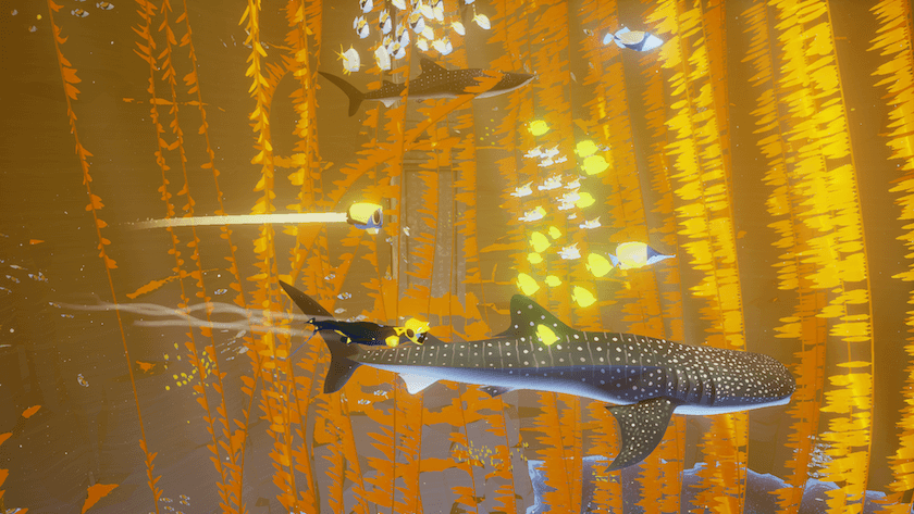 Whale Sharks In Video Games Where To Swim With The Gentle Giants