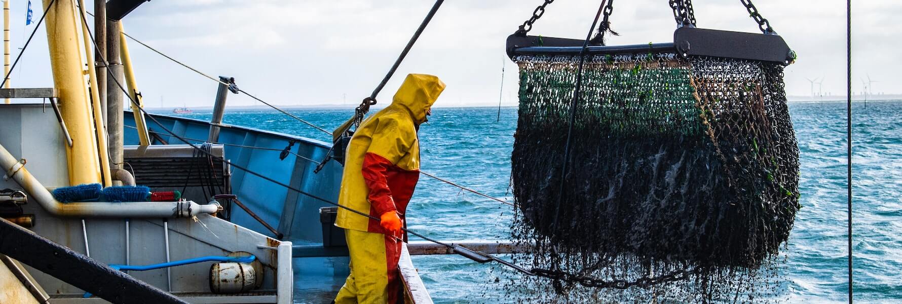 The Marine Stewardship Council’s Ocean Stewardship Fund 2022 is Now ...