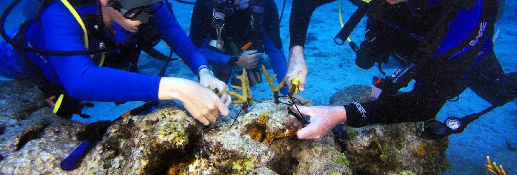 Military Veterans Join Forces with Marine Science Experts & Ocean ...