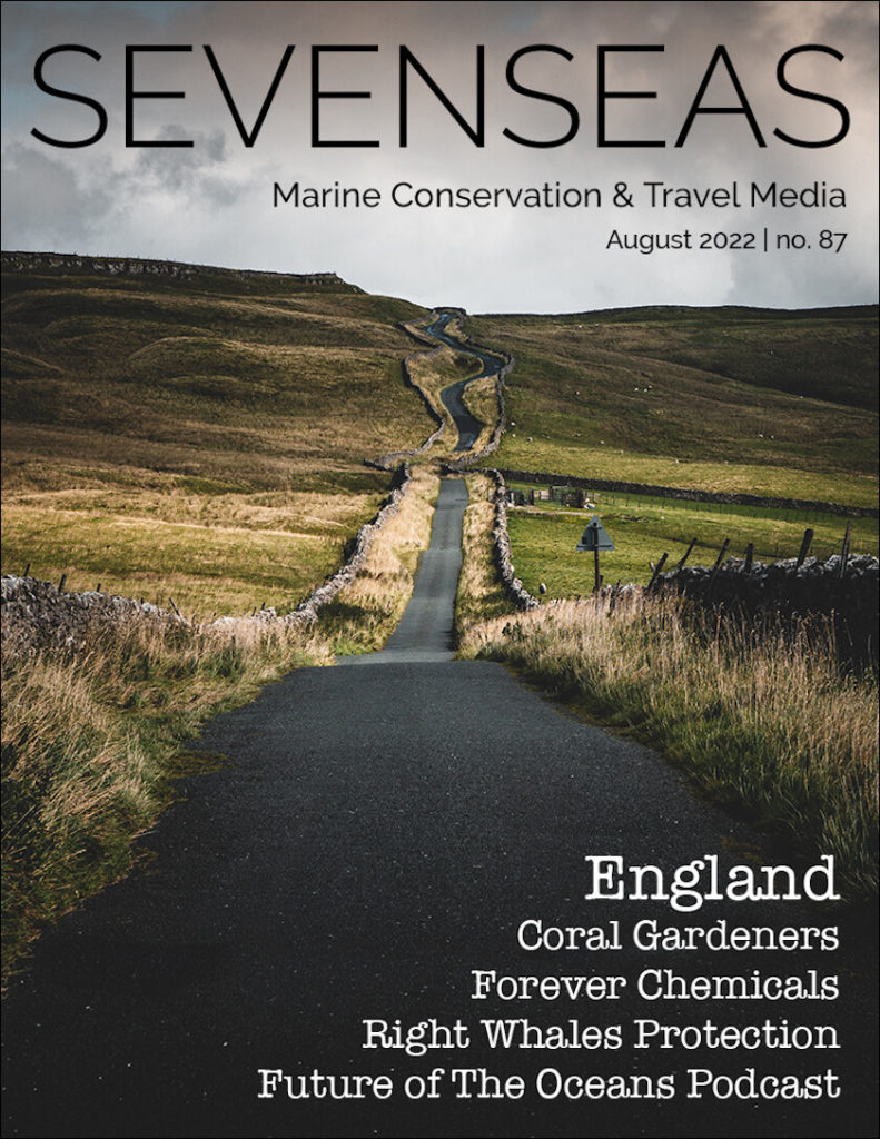 Magazine Monthly Issue Archive — Page 5 of 8 — SEVENSEAS Media