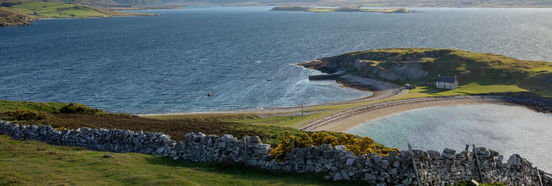 Rewilding Scotland’s Seas: The Fight to Save Shallow Marine Habitats ...