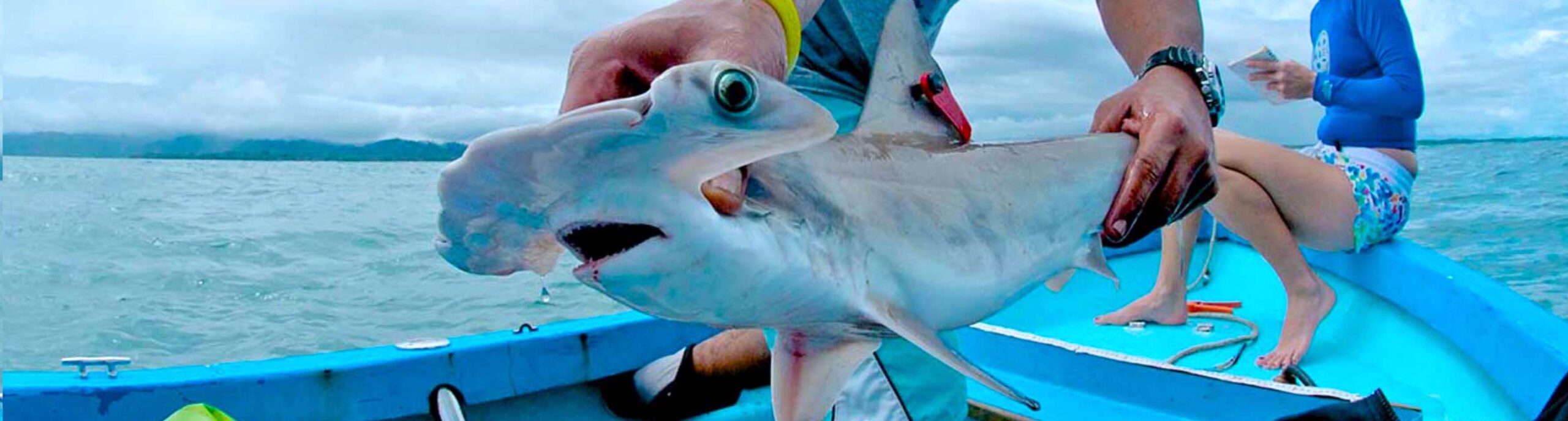 Ocean Hope Chronicles: Local Leaders as Extraordinary Changemakers ...