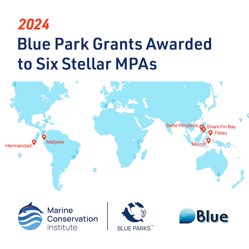 2024 Blue Parks Small Grants Awarded to Six Marine Conservation ...