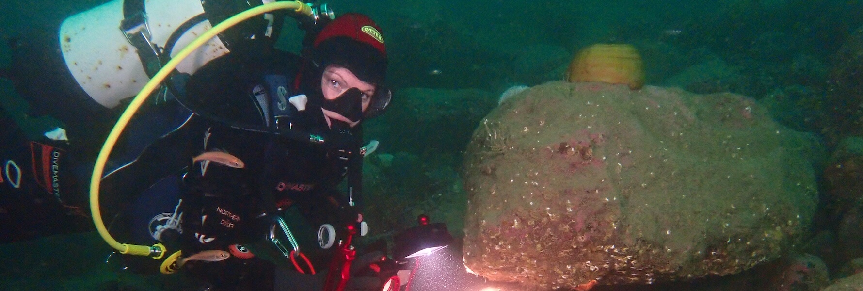 Dr. Lauren Smith, a Marine Biologist, Elasmobranch Specialist ...