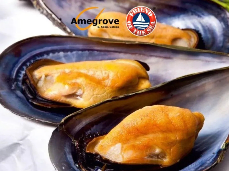 Mussels: The Sustainable Seafood Superstar Making Waves in Aquaculture ...