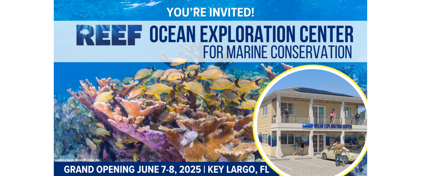 Grand Opening of the Ocean Exploration Center — SEVENSEAS Media