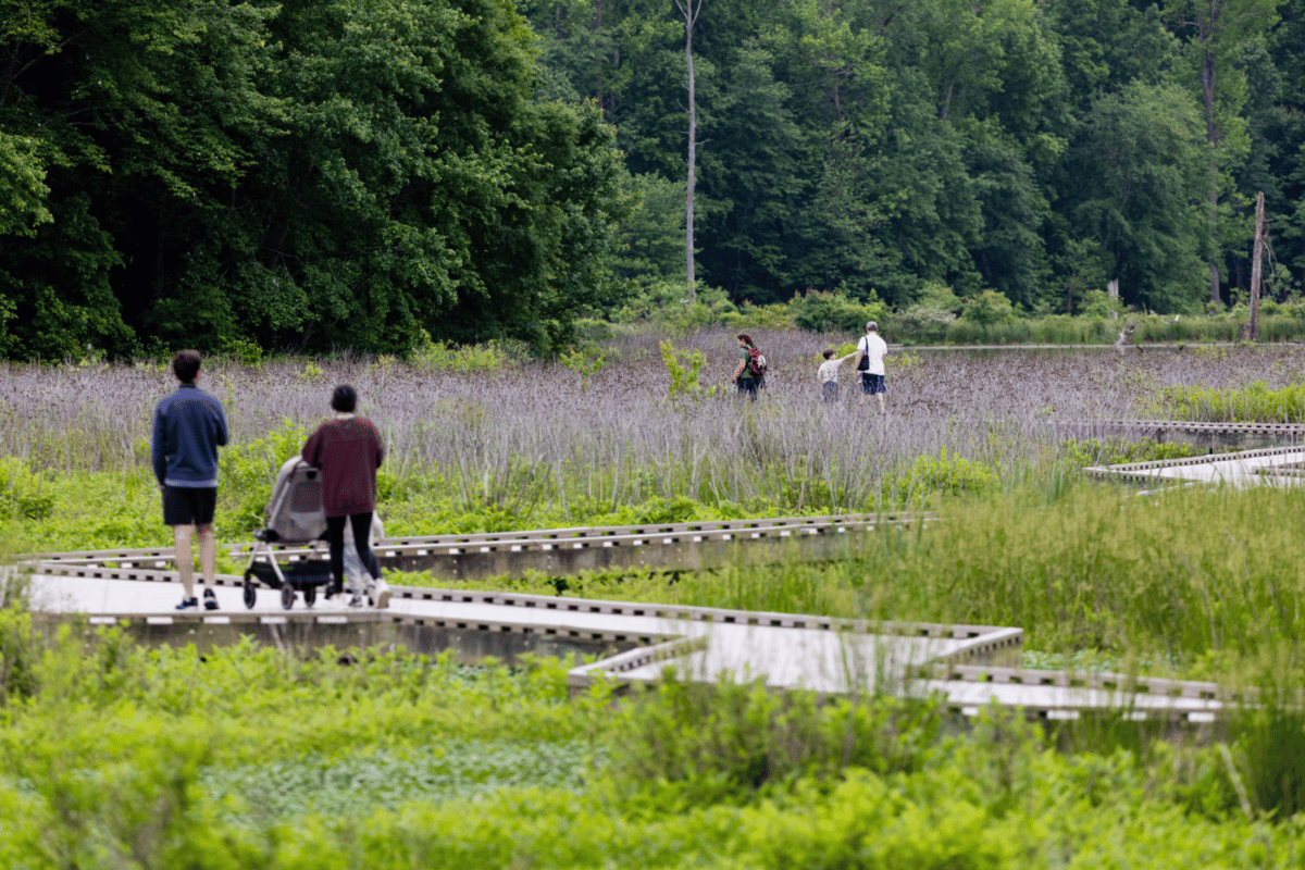 Feature Destination: Chesapeake Bay Program Exceeds Goal to Open New ...