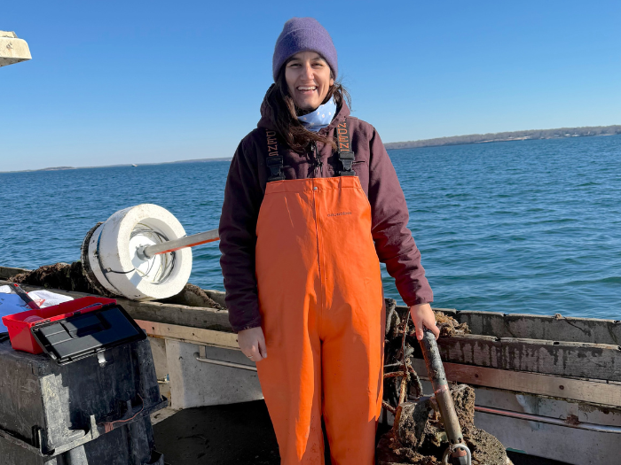 How Climate Change Impacts Rhode Island Oyster Farming — SEVENSEAS Media