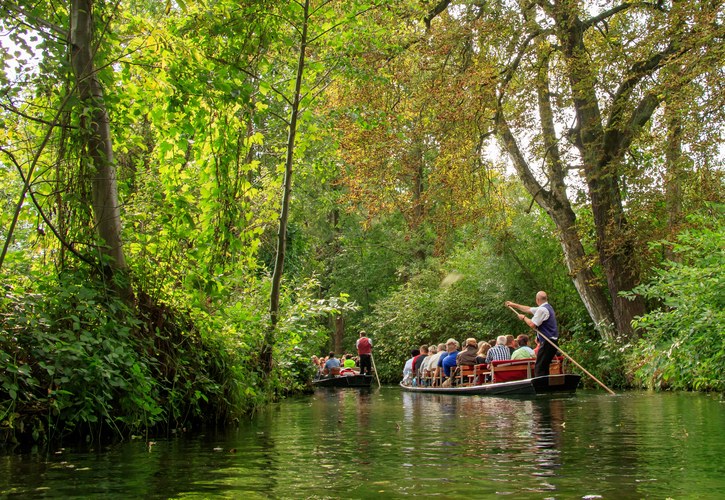 UNESCO People and Nature Report: A Lifeline for Biodiversity
